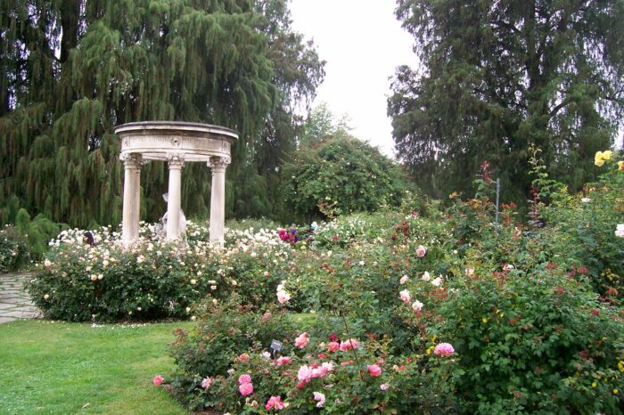 Music in the Rose Garden | Pasadena Conservatory of Music